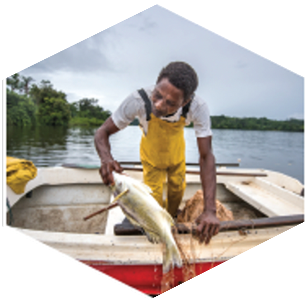 Marxan MaPP - Marxan